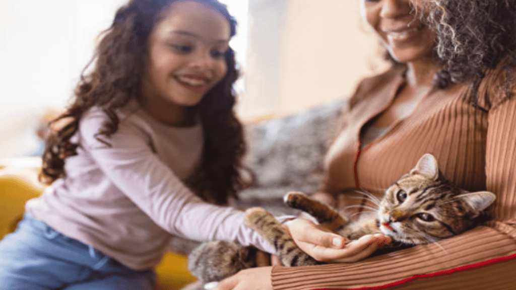 Cat Breeds Suited for Families and Kids