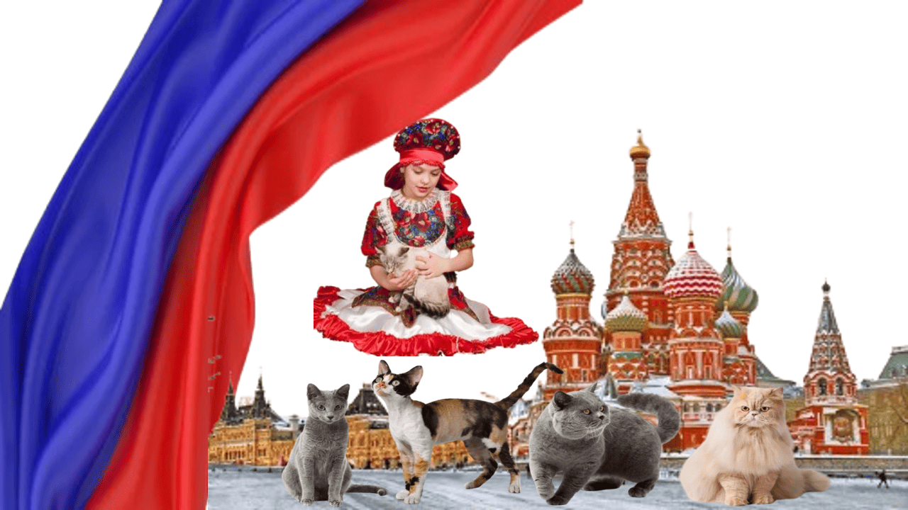 Cats in Russian Folk Beliefs